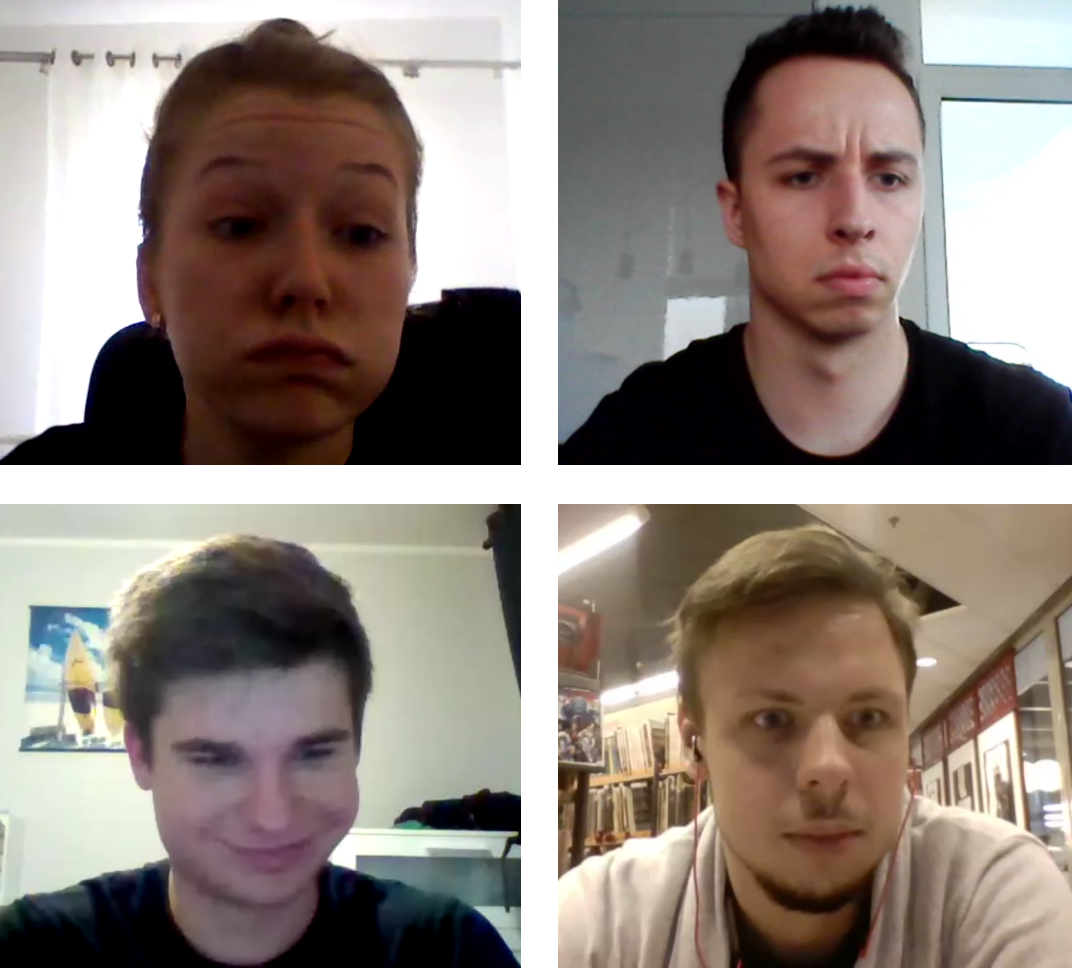 DevEmo - software developers' facial expression dataset